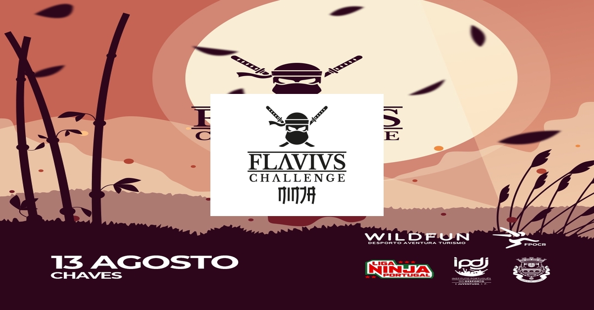 Flavius Challenge OCR – Ninja › STOP and GO