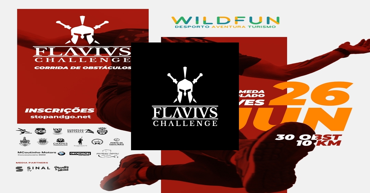 FLAVIUS CHALLENGE OCR › STOP and GO