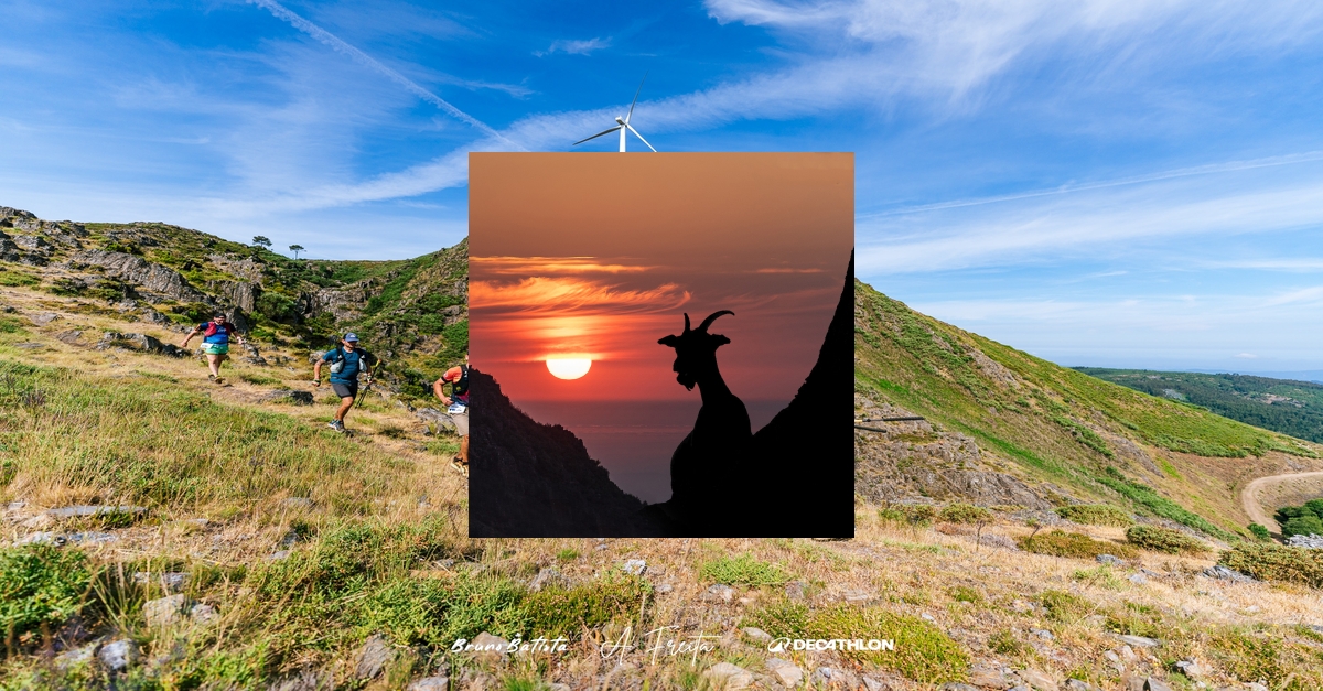 Ultra Trail Serra da Freita 2026 › STOP and GO